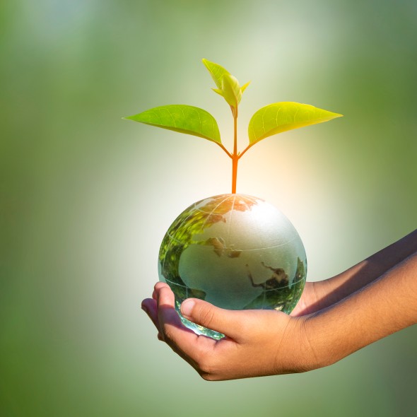 Sustainability Targets | Sustainability | Brenntag